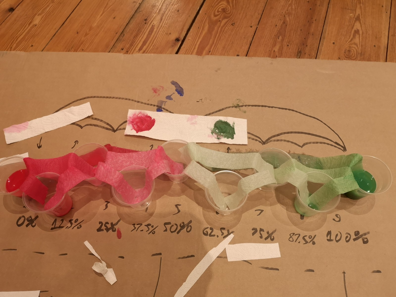 Simon’s experiment about gradients – Geeks out of the box